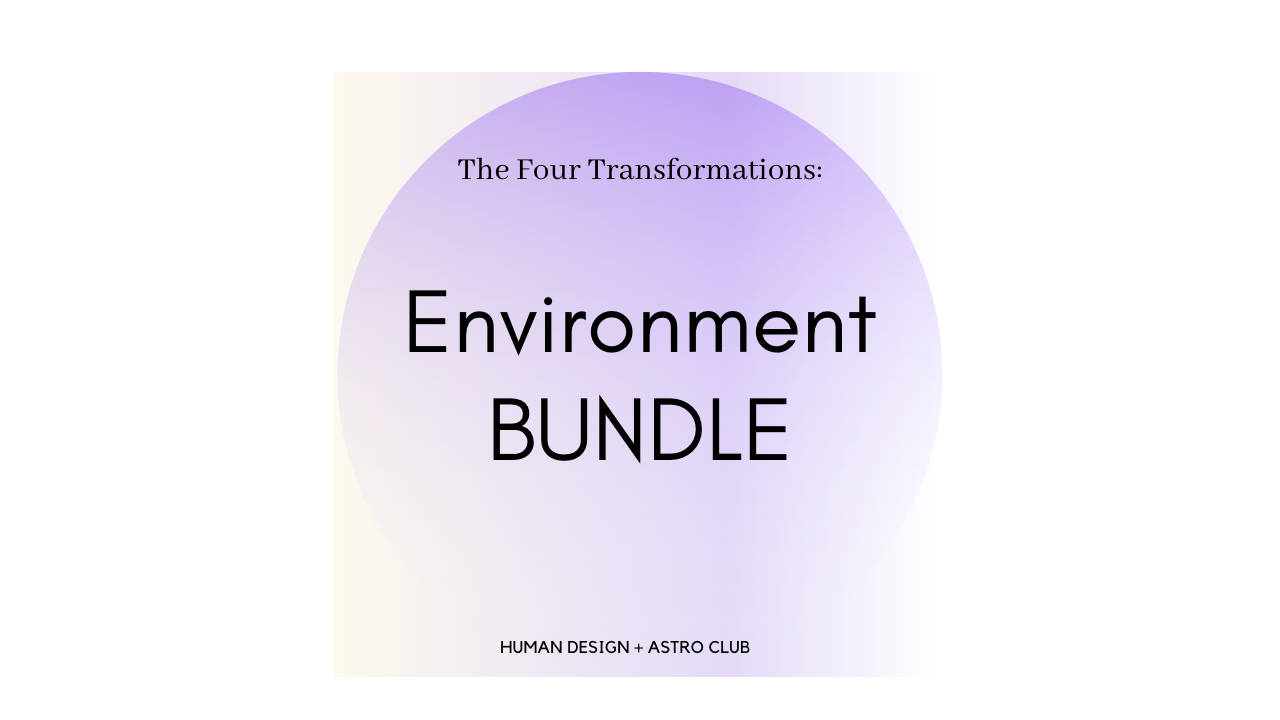 environment bundle
